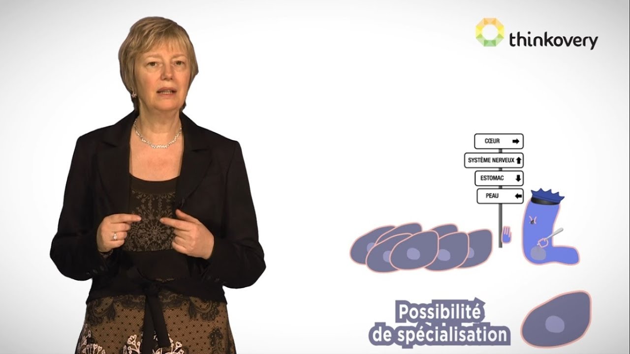 Stem cells, miraculous cells…