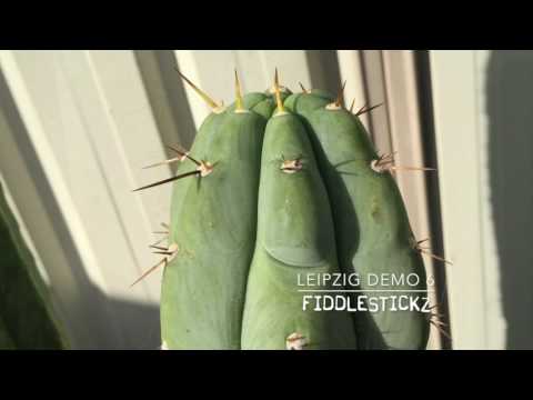 Leipzig Demo 6 ~ Fiddlestickz