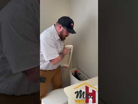 Stop the Flush Frustration | Mr. Handyman of Tampa & Clearwater