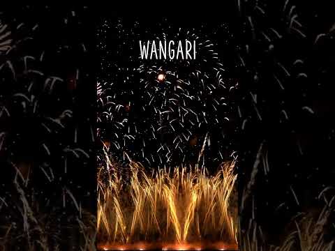 BON ANNIVERSAIRE WANGARI !