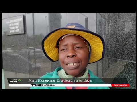 Disgruntled workers at Zebediela Citrus Estate in Limpopo face eviction