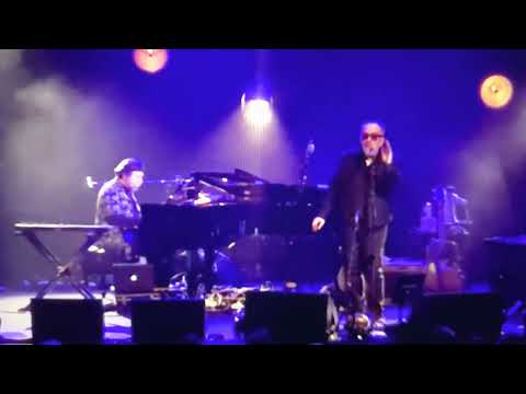 Look Up Again (Bacharach & Costello) 23/2/19の動画 | Silmaril Necktie