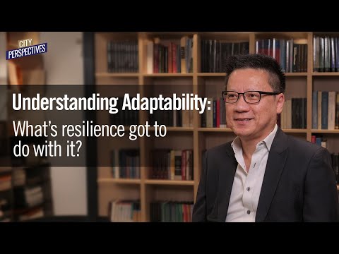 Understanding adaptability: What's resilience got to do with it?