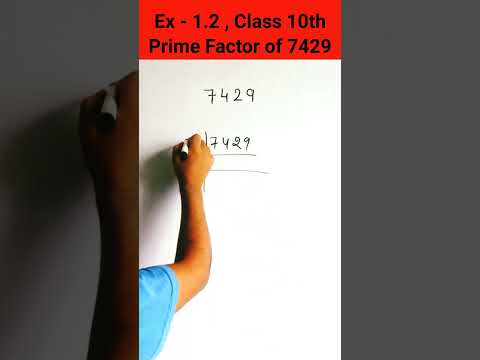 How to find prime factors of 7429 || Real Numbers Class 10 #shorts