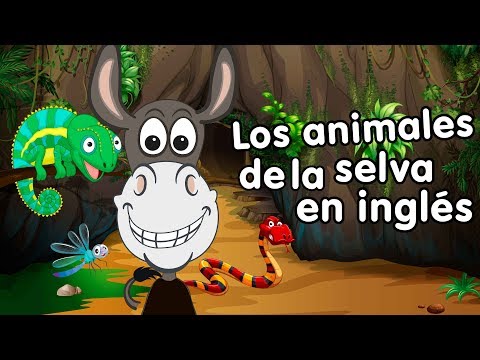 TOMi.digital - animales salvajes. wild animals