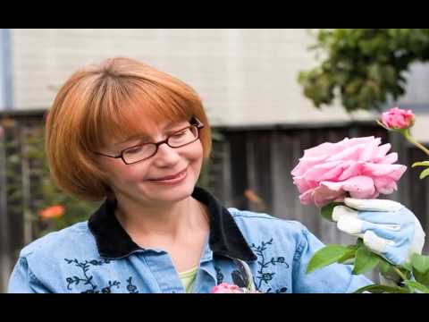 Asthma 1- bronchospasm, types of asthma, symptoms