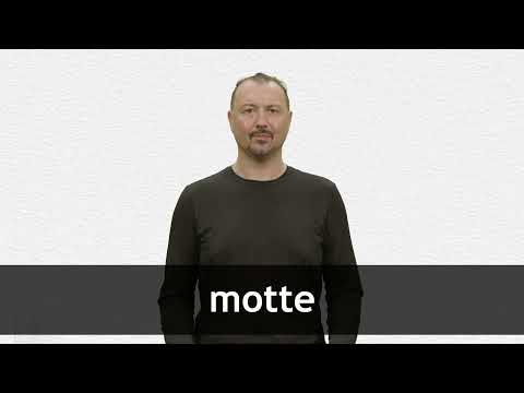 English Translation of “MOTTE” | Collins French-English Dictionary