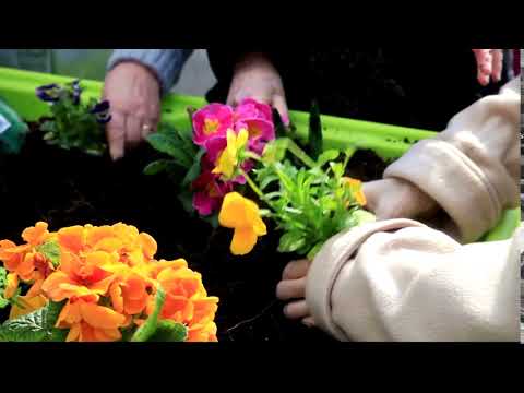 Clip Biopratic jardinage à l'ehpad de villereversure