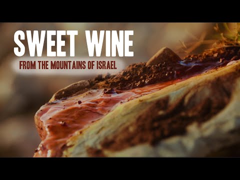 Amos 9 Prophecy | WINE DRIPPING IN ISRAEL | Being Fulfilled