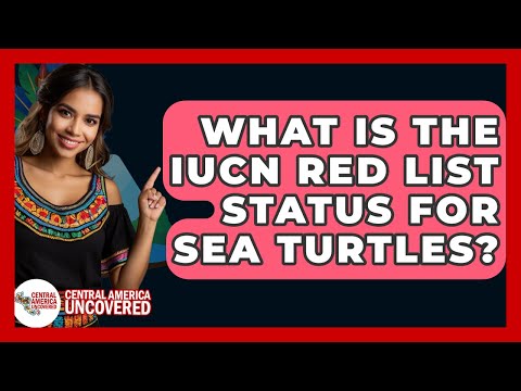 What Is The IUCN Red List Status For Sea Turtles? - Central America Uncovered