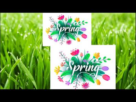 Spring Guessing Game - Spring. What…: English ESL video lessons