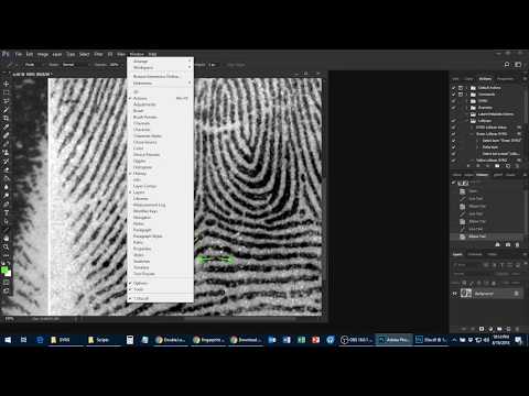 Marking minutiae location and direction using GYRO in Photoshop