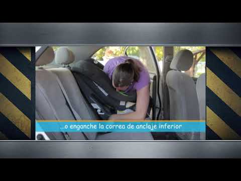 Car seat installation SPANISH