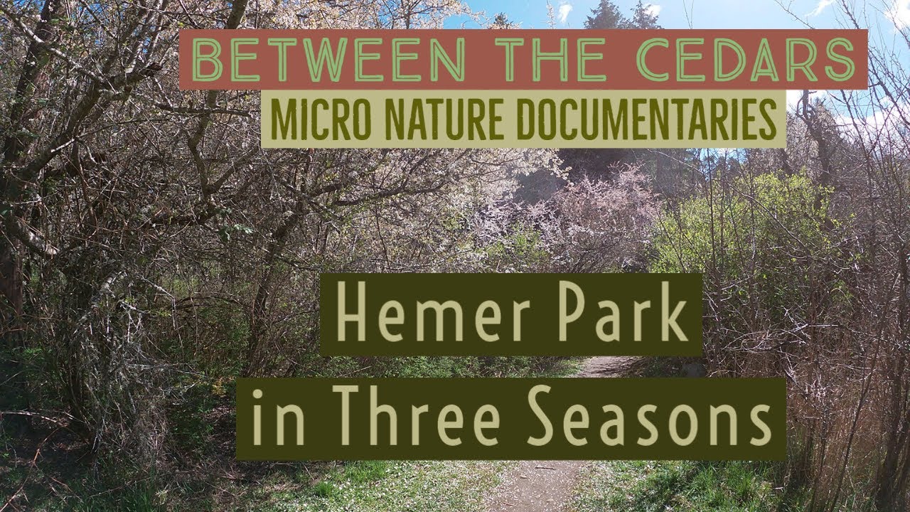 Hemer Park in Three Seasons