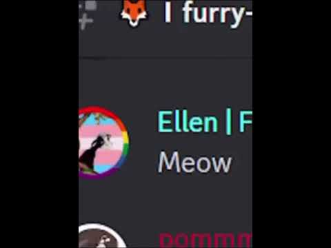 Meow #cat #meme #shorts #discord