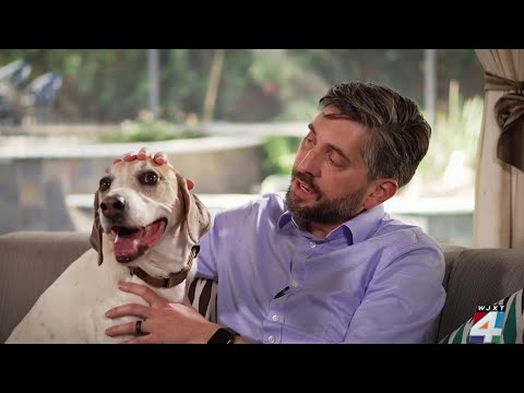 Cutting edge linear accelerator kills cancer in dogs