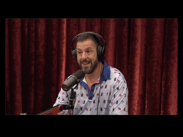"It's like a guy just showing his a*s" - Joe Rogan and Adam Sandler ...