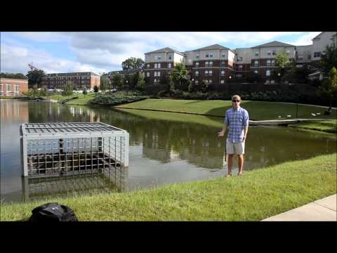 Civil Engineering: The Capstone Conquest