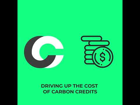 Net Zero Explained