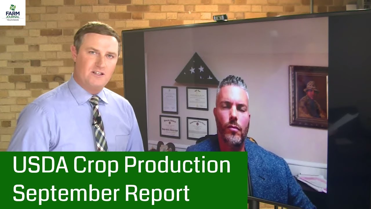 USDA Crop Production September Report Analysis