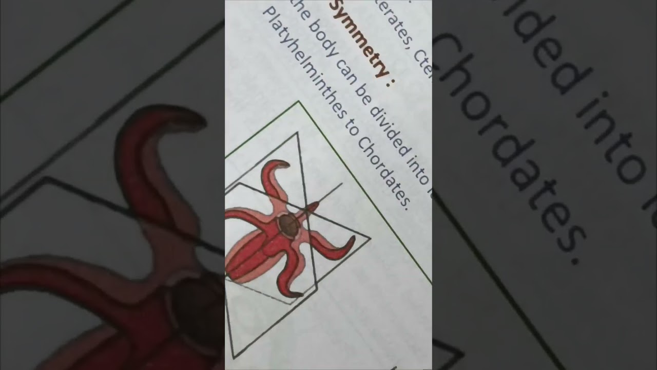 #animalkingdom  notes part 1 from ALLEN MODULE 🤺 check description for pdf