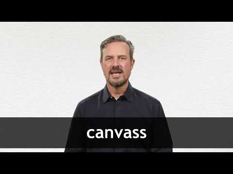 CANVASS definition and meaning | Collins English Dictionary
