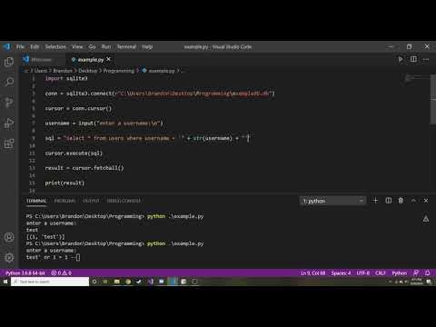 How to Use Parameters in a SQLite SQL Statement in Python SQLite3 Tutorial in Python