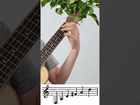 D A D F# A D - open D tuning