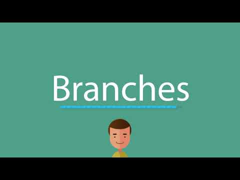 Branches pronunciation