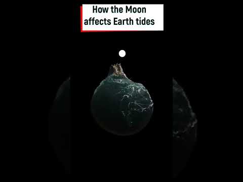 How Moon affects Earth tides 3D