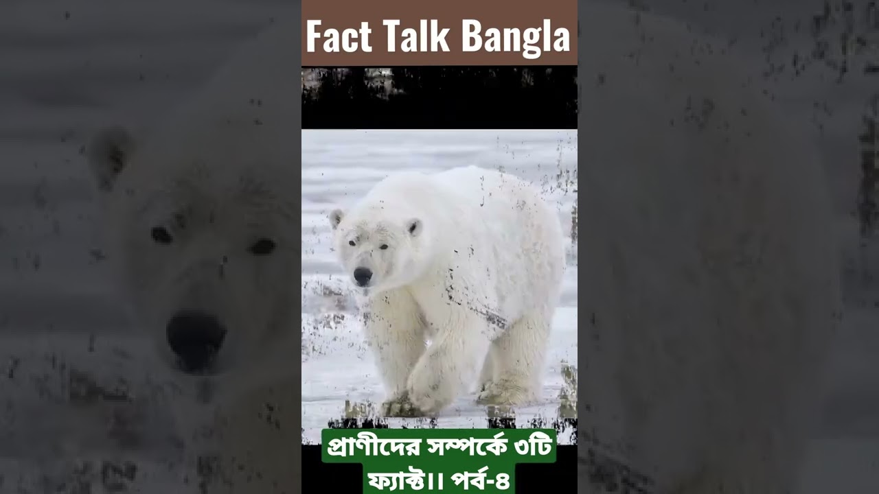 E0%A6%AA%E0%A7%8D%E0%A6%B0%