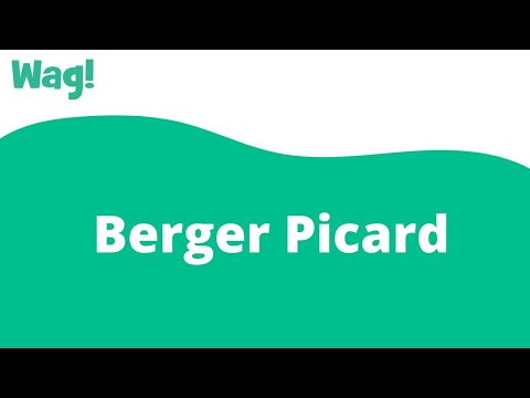 Berger Picard | Wag!
