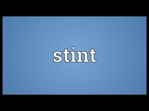 Stint Meaning