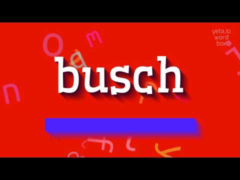 BUSCH - HOW TO SAY BUSCH? #busch