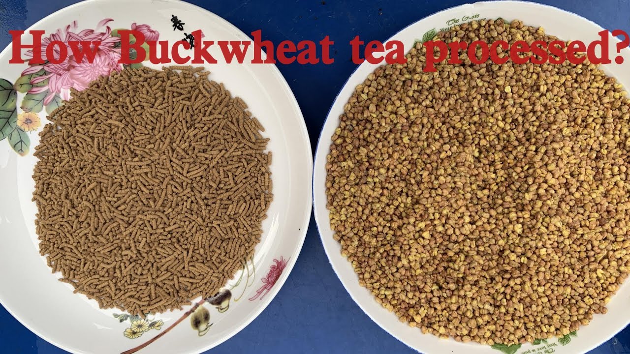 How Buckwheat tea processed?