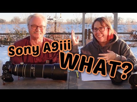 Sony A9 III vs A7R V: Wildlife & nature photography (ILCE-9M3)