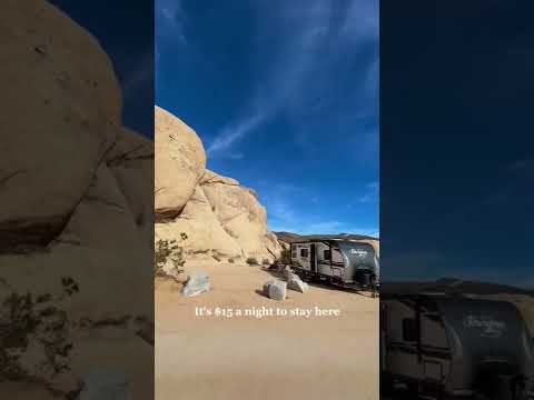 Our Campsite In Joshua Tree National Park! #joshuatreenationalpark #joshuatree #california #rvlife