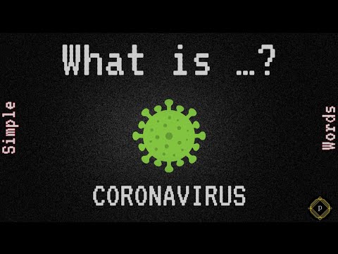 What is CORONAVIRUS ? In SIMPLE WORDS! photos and blog