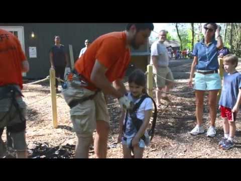 The Labyrinth at The Adventure Park at Sandy Spring