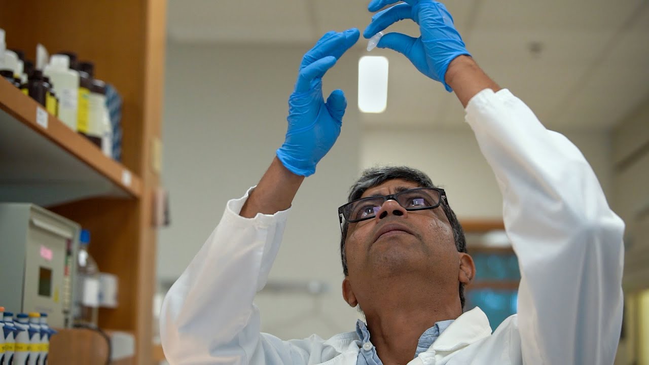 Stowers Scientists Reveal How the Brain Stores Long-Lasting Memories