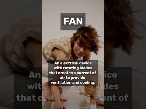 What is Fan? || Dictionary