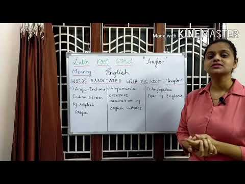 What does the Latin root word "Anglo-" means ?