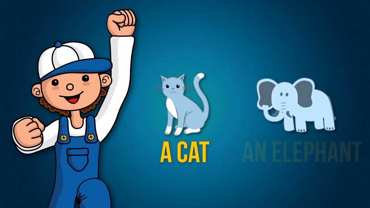 The indefinite article