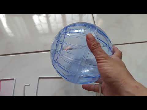 Multipurpose Large 6 inches Hamster Exercise Ball with Stand