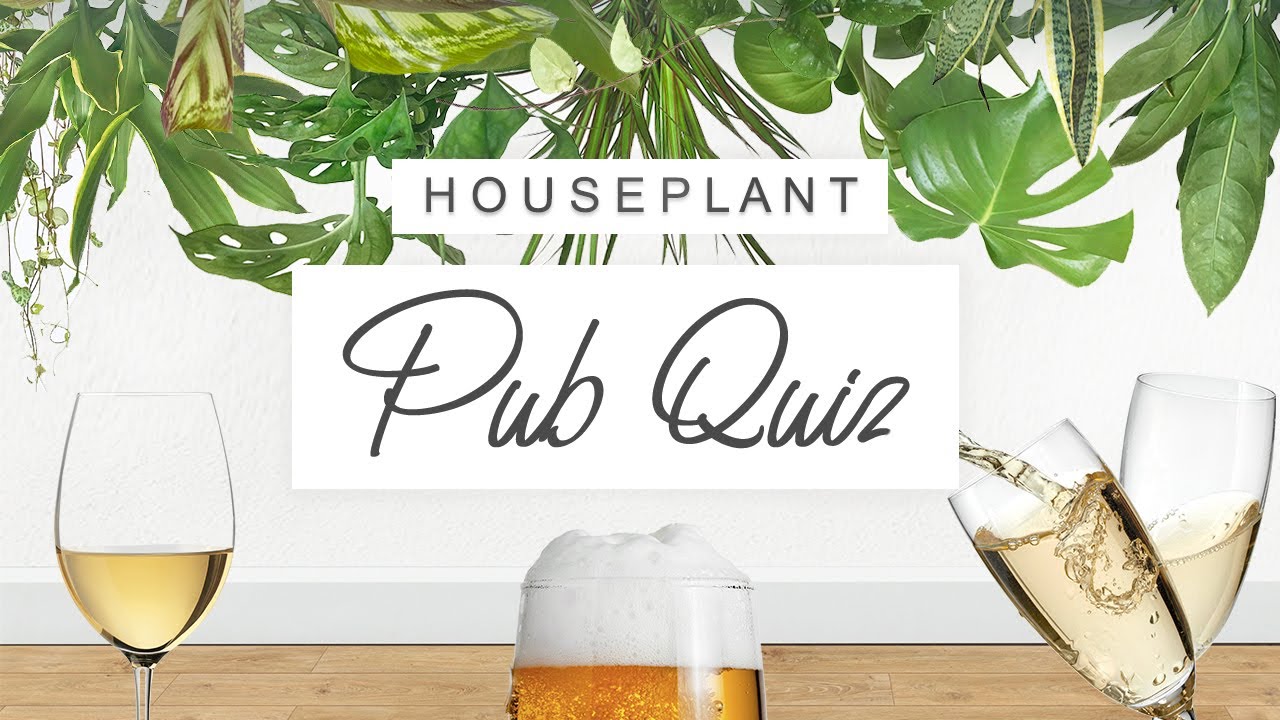 Houseplant PUB QUIZ 🌱 25 Questions + Answers! Plant Trivia Quiz - TEST YOUR HOUSEPLANT KNOWLEDGE 🍺 🌿