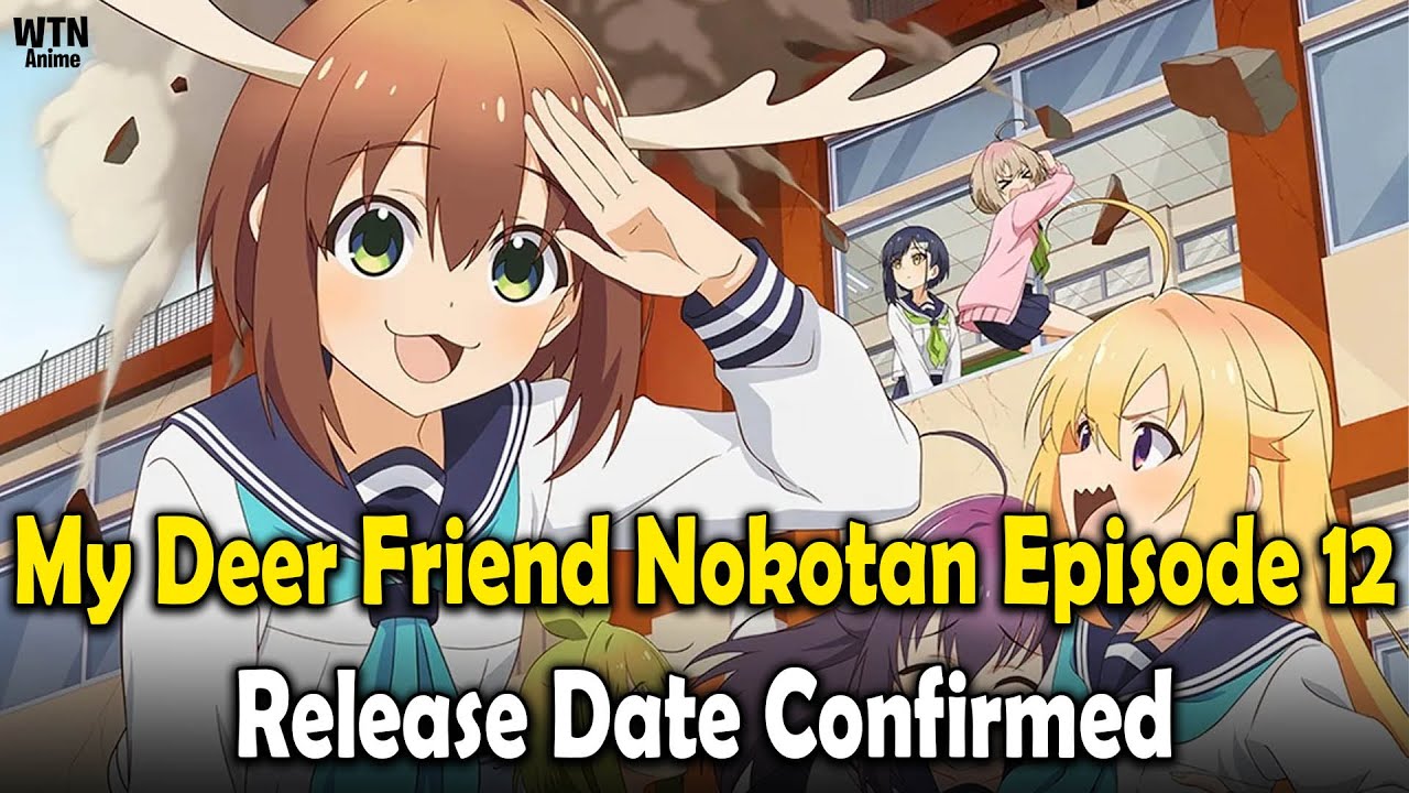 My Deer Friend Nokotan Episode 12 Release Date Confirmed