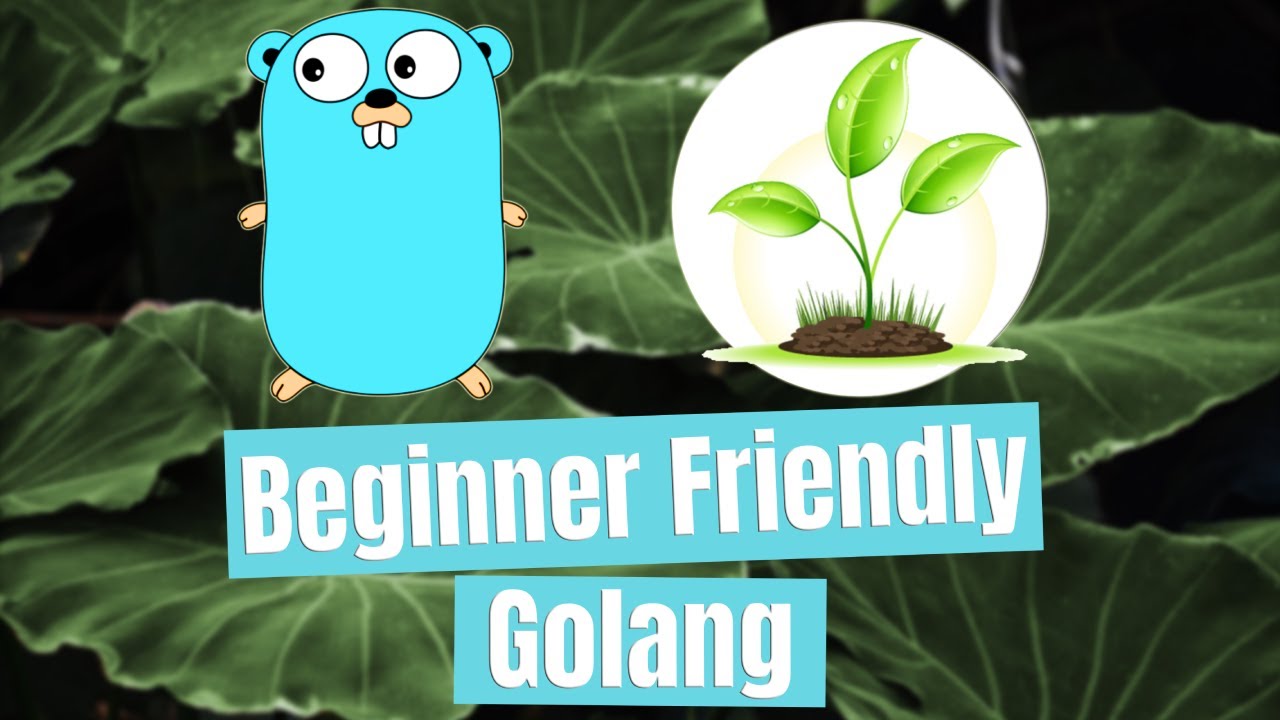 Logical Operators- Beginner Friendly Golang