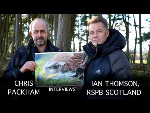 Raptor persecution: Chris Packham’s extended interview with Ian Thomson ...