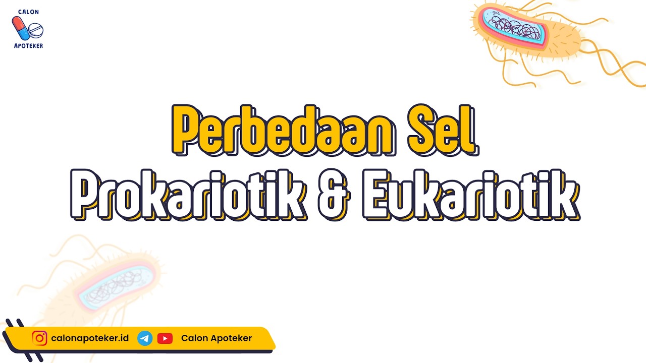 Microbiology | Differences Between Prokaryotic and Eukaryotic Cells