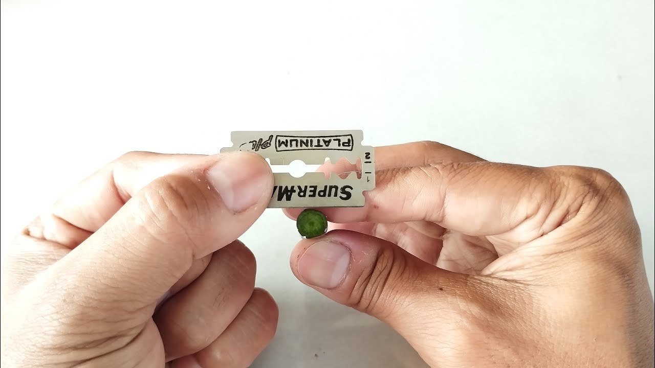 Thin Sectioning Techniques | Freehand Sectioning | Plant Section Cutting